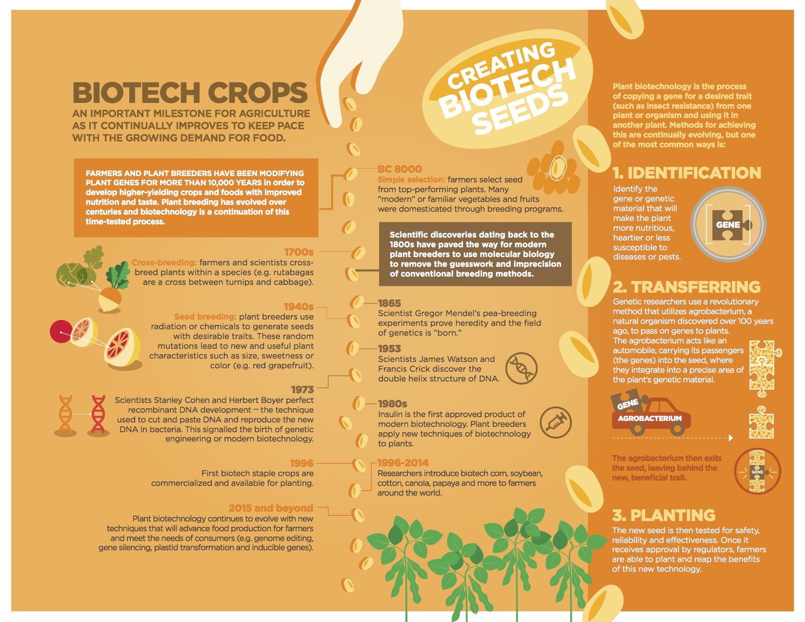 DO YOU KNOW how a biotech crop is created? | Pan-Asia Farmers Exchange ...