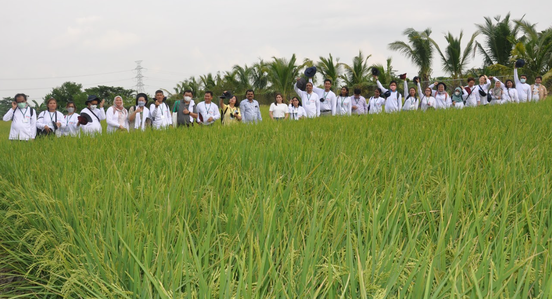 16th PAN-ASIA FARMERS EXCHANGE PROGRAM | Pan-Asia Farmers Exchange Program