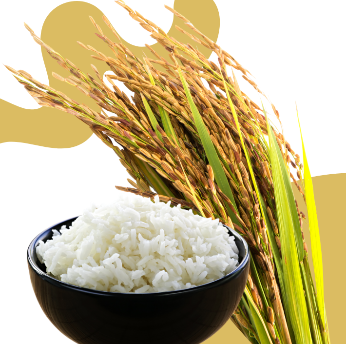 AGRICULTURE NEWS UPDATES IN ASIA – July 2025 | Pan-Asia Farmers ...